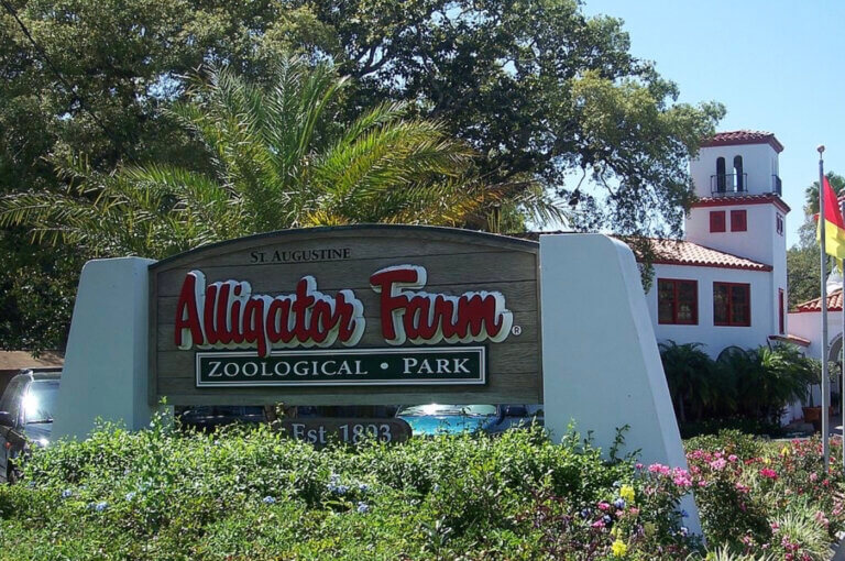 10 Florida Alligator Parks You Won't Want to Miss