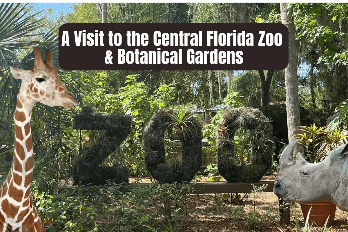 A Visit to the Central Florida Zoo and Botanical Gardens • Authentic ...
