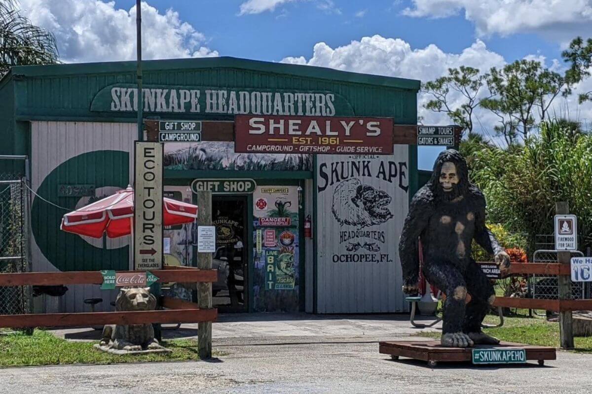 Top 5 Things to Do in the Florida Everglades • Authentic Florida