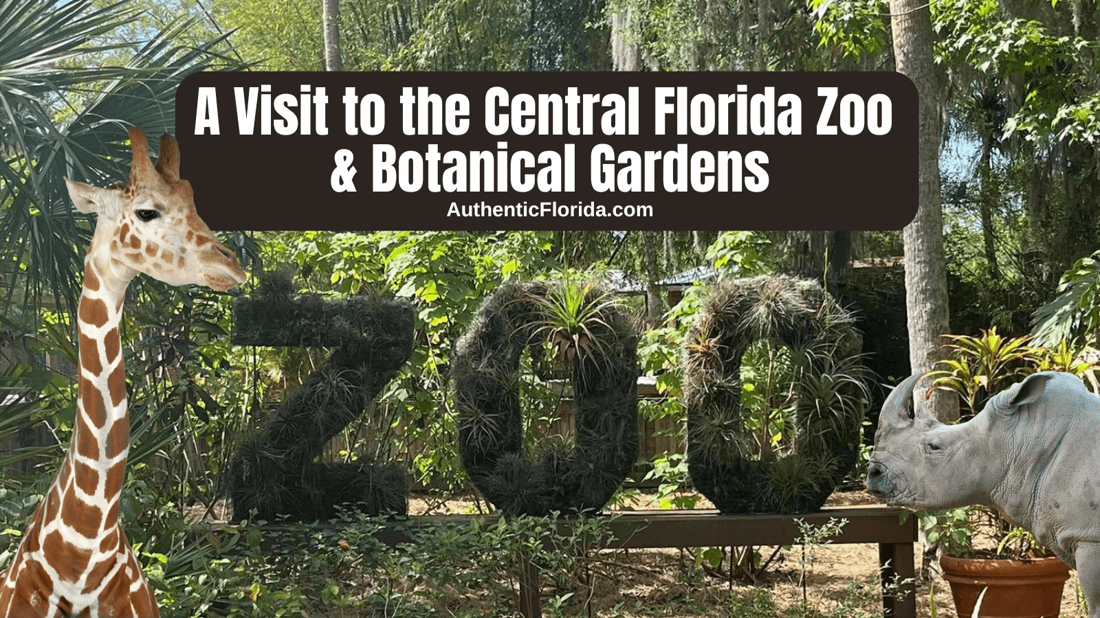 A Visit to the Central Florida Zoo and Botanical Gardens (2025 ...