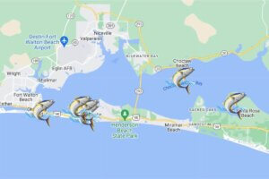 Best Fishing Spots in Destin • Authentic Florida