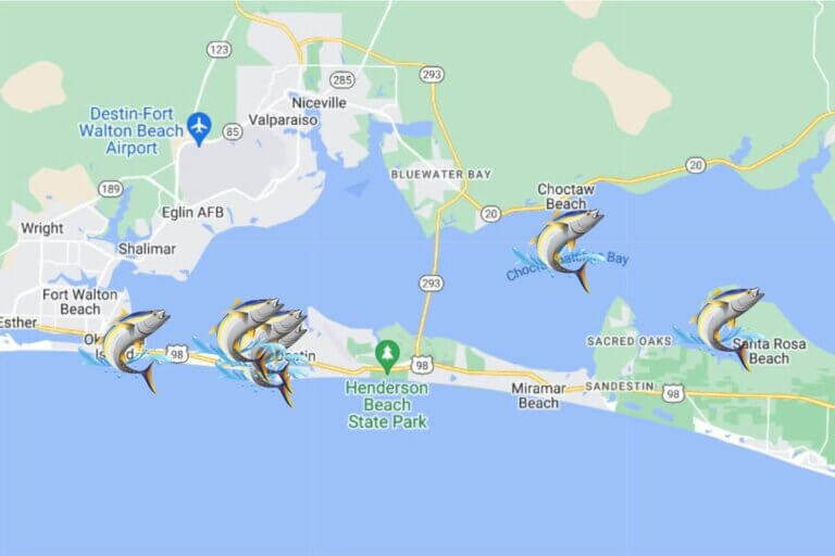 Best Fishing Spots in Destin • Authentic Florida