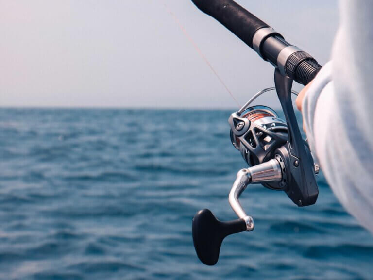 Best Fishing Spots in Destin • Authentic Florida