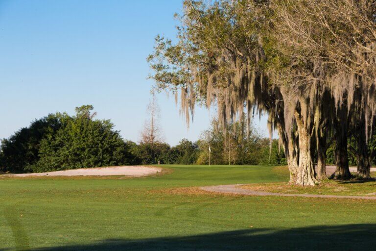 16 Best Things to Do in Winter Haven FL (2026) • Authentic Florida
