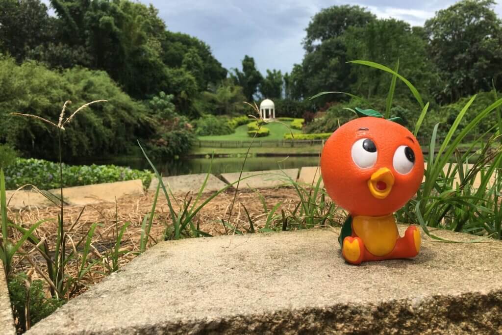 Bird of Paradise: How Florida Orange Bird Became an Icon • Authentic ...