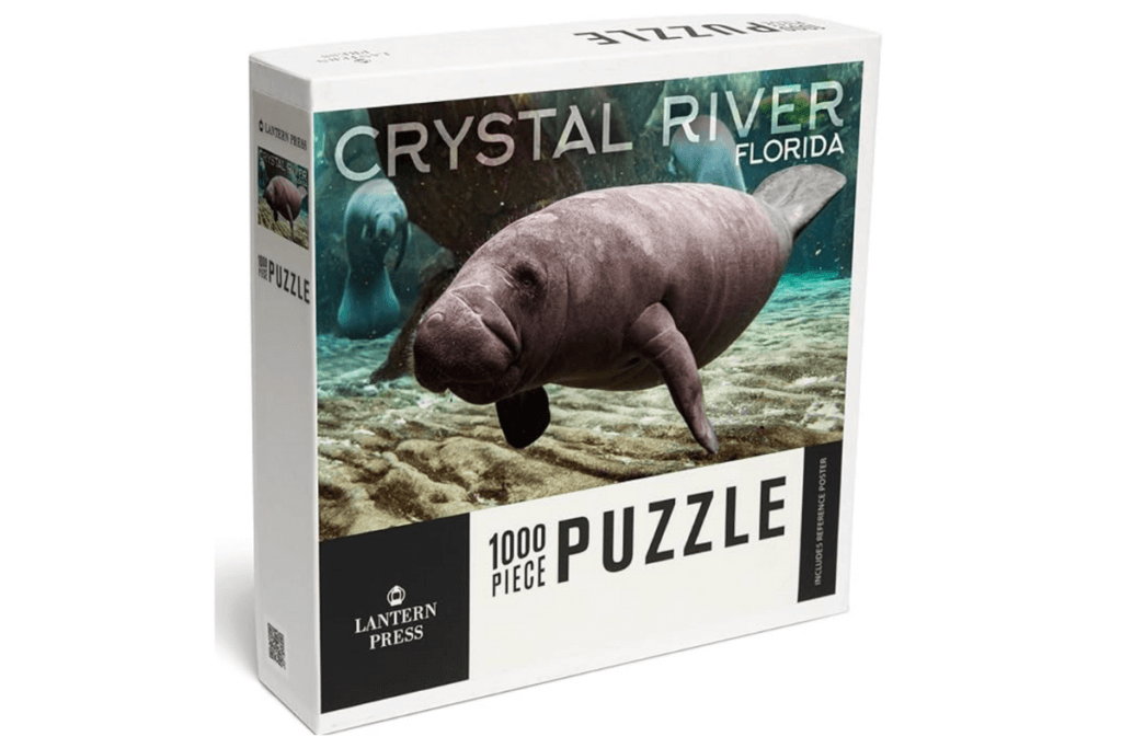 10 Best Florida-Themed Puzzles