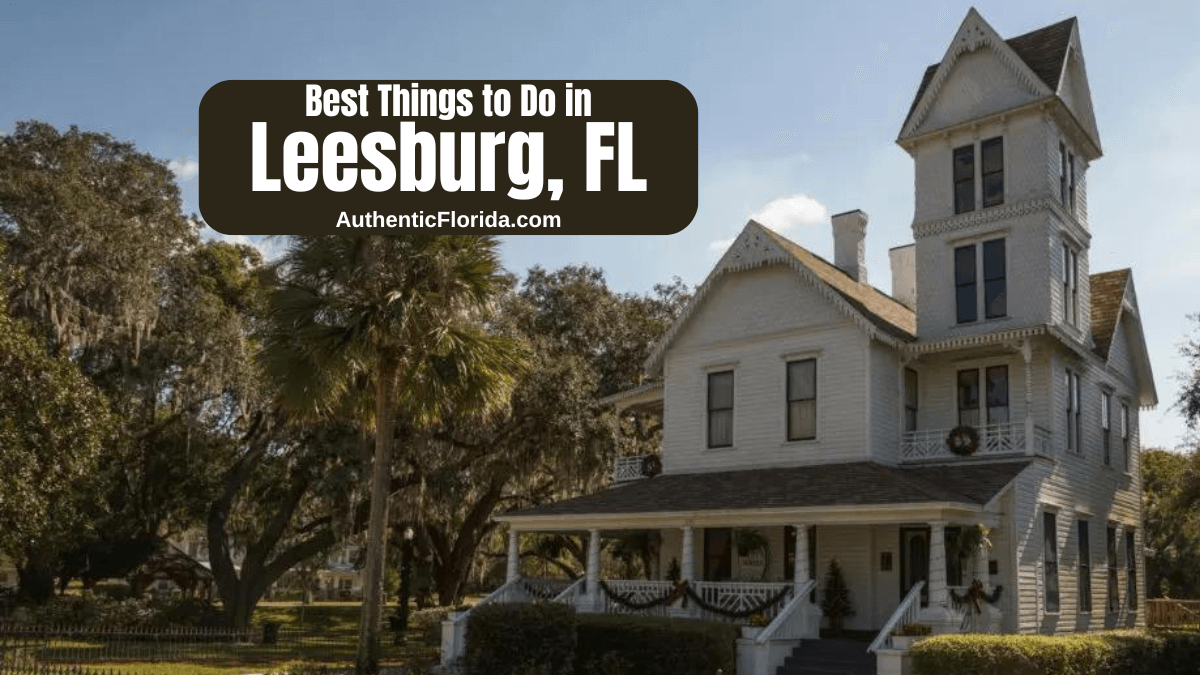 10+ Best Things to Do in Leesburg, FL (2025) • Authentic Florida