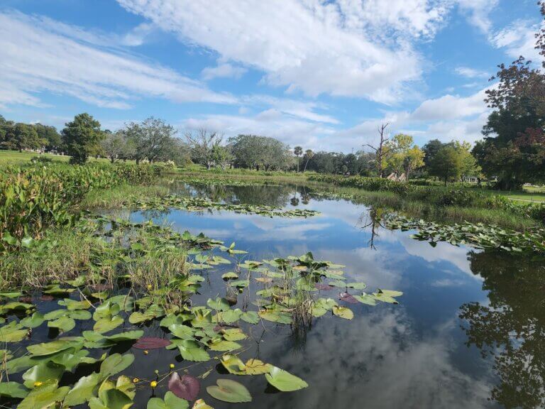 10+ Best Things to Do in Leesburg, FL (2025) • Authentic Florida