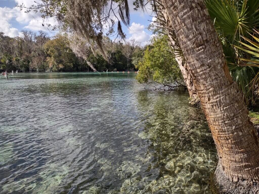 Alexander Springs + Nearby Places to Eat, Stay, and Shop • Authentic ...