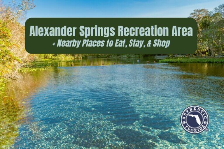 Alexander Springs + Nearby Places to Eat, Stay, and Shop • Authentic ...