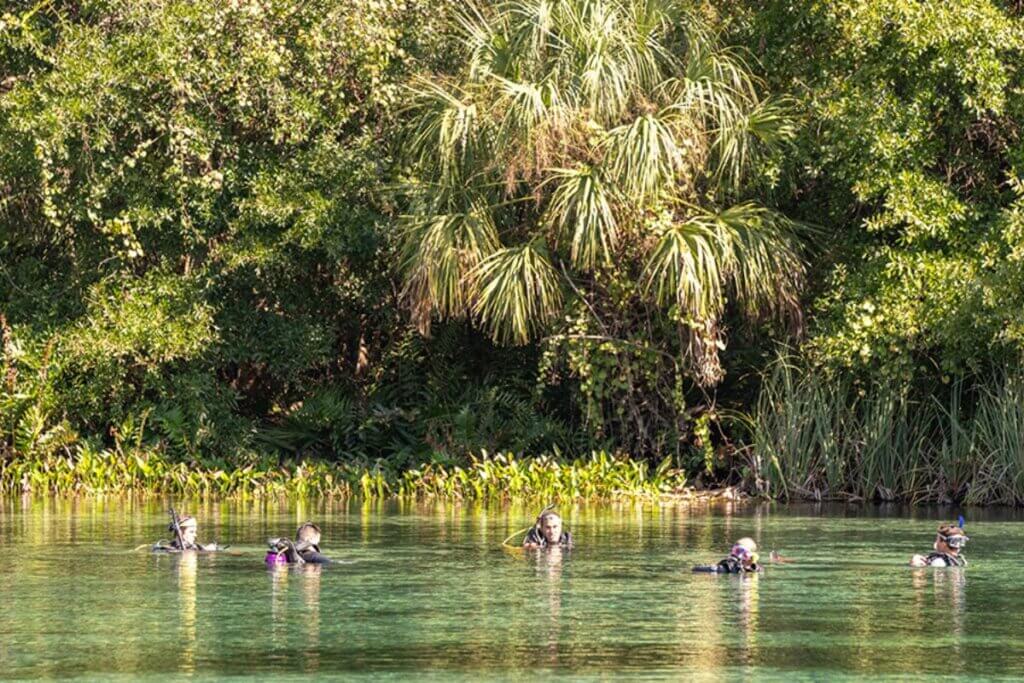 Alexander Springs + Nearby Places to Eat, Stay, and Shop • Authentic Florida