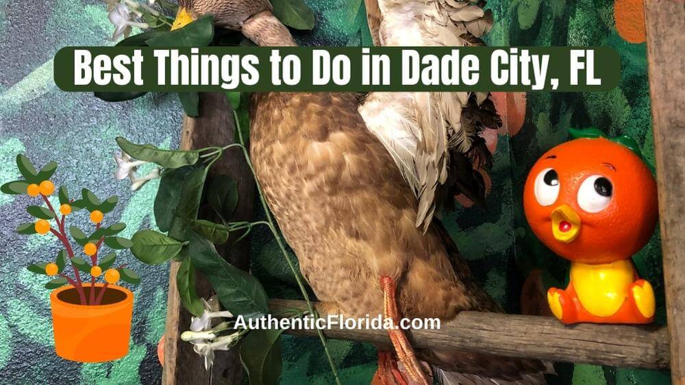 5 Best Things to Do in Dade City, FL • Authentic Florida