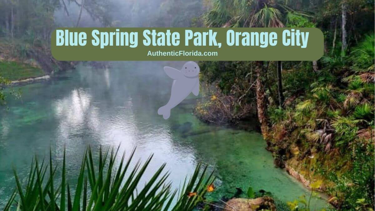 A Visit to Blue Spring State Park in Orange City, FL