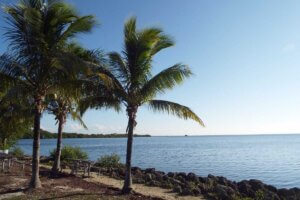 5 Best Things to Do in Homestead, FL • Authentic Florida