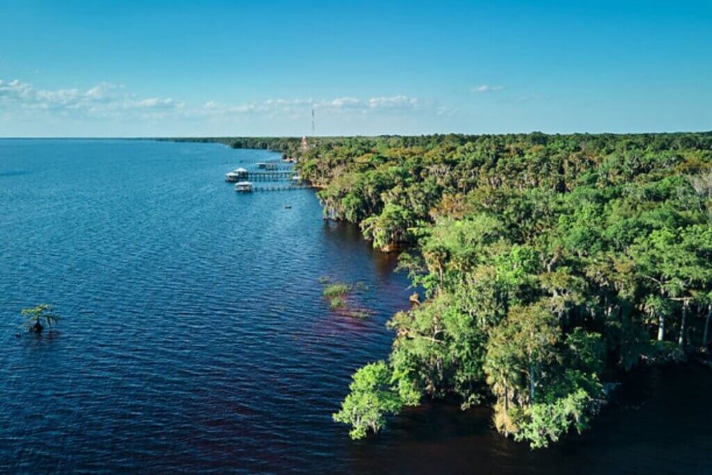 Alexander Springs + Nearby Places to Eat, Stay, and Shop • Authentic ...