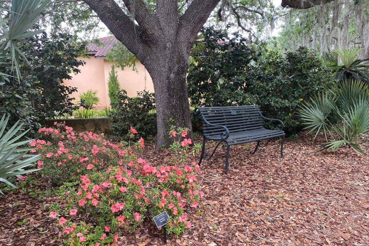 A Day Trip to Bok Tower Gardens, Florida's Sanctuary • Authentic Florida