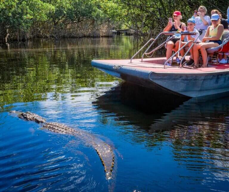 13 Best Airboat Rides in Florida (2026) • Authentic Florida