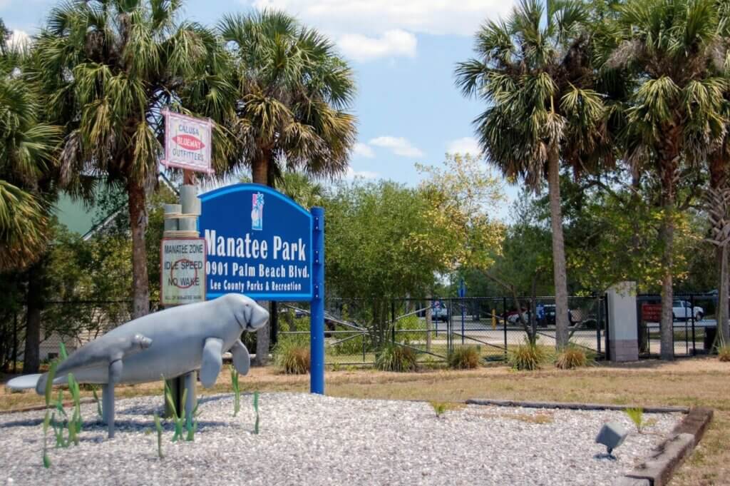 15+ Great Places To See Florida Manatees in 2026 • Authentic Florida