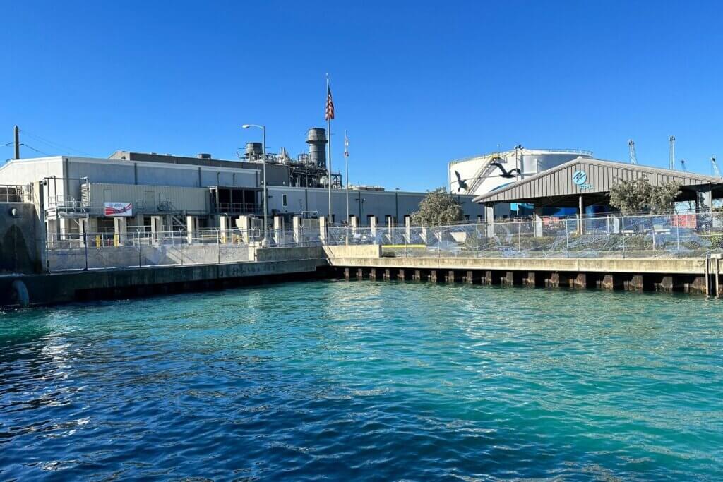 15+ Great Places To See Florida Manatees in 2024 • Authentic Florida