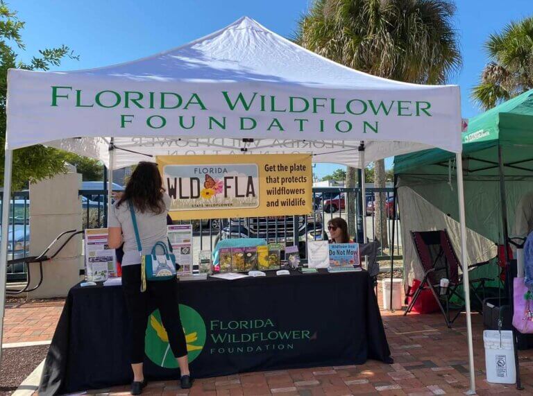 Top Spring Festivals in Florida • Authentic Florida