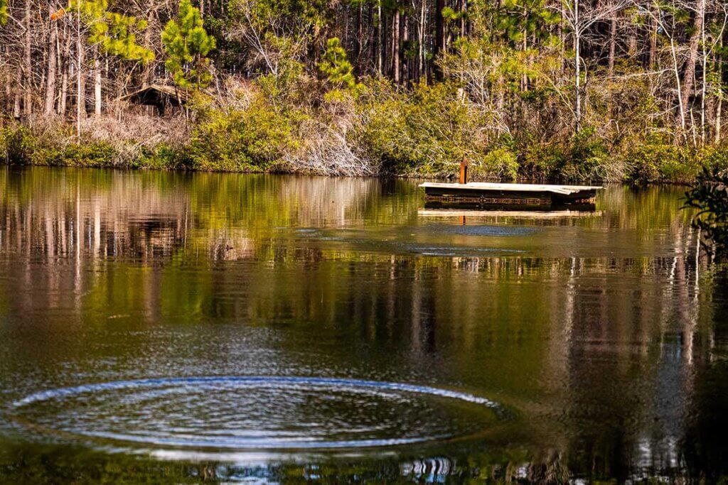 Falling Waters State Park + Nearby Places to Eat, Stay, & Shop ...