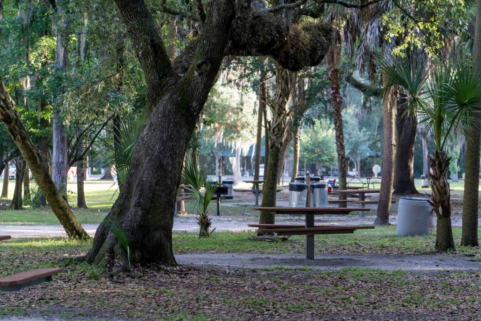 Lithia Springs + Nearby Places to Eat, Stay, and Shop • Authentic Florida