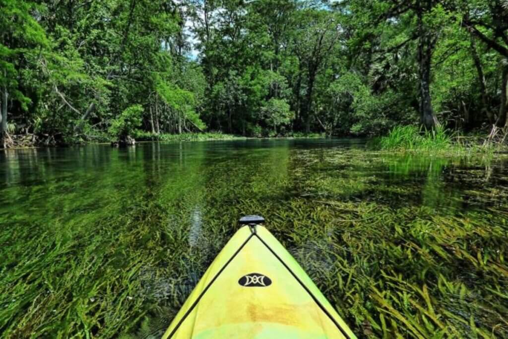 27 Best Places to Kayak in Florida - The 2025 Edition • Authentic Florida