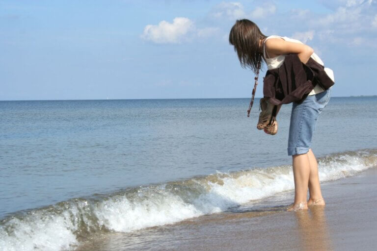 A Beginner’s Guide to Identifying Common Florida Seashells • Authentic ...