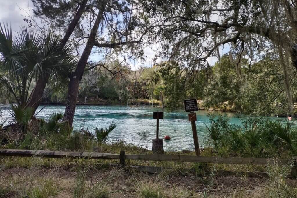 Silver Glen Springs Recreation Area + Nearby Things to Do • Authentic ...