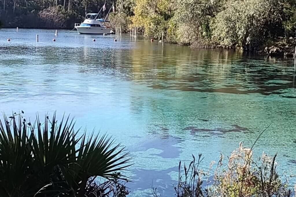 Silver Glen Springs Recreation Area + Nearby Things to Do • Authentic ...