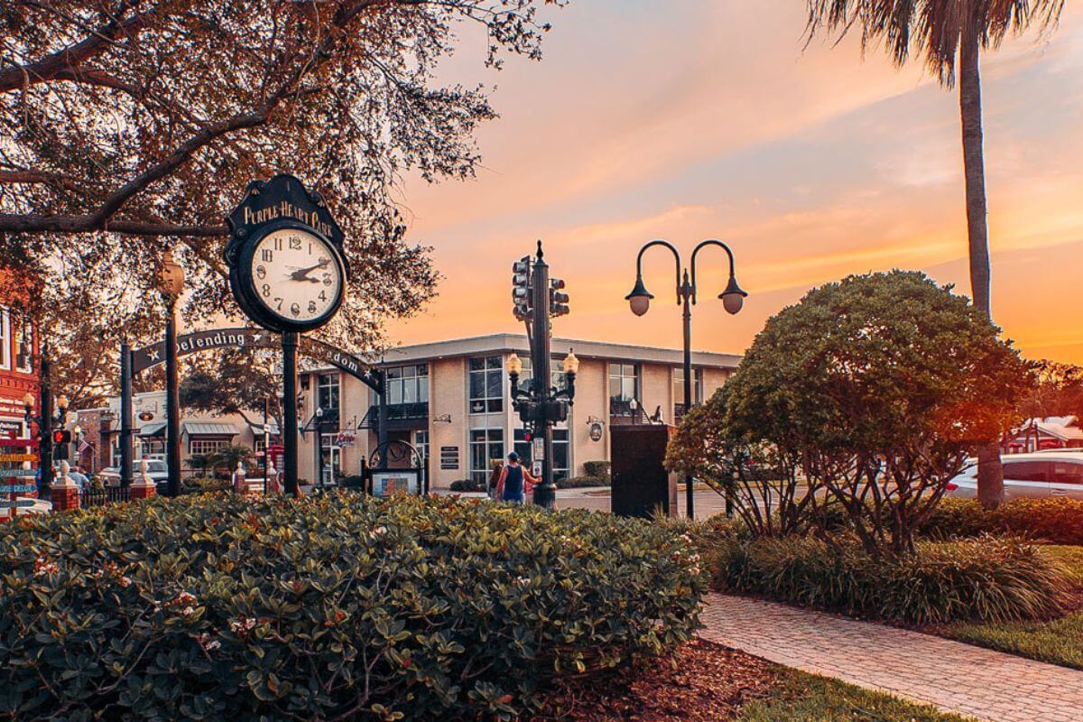 19 Best Things to Do in Dunedin, FL - 2025 • Authentic Florida