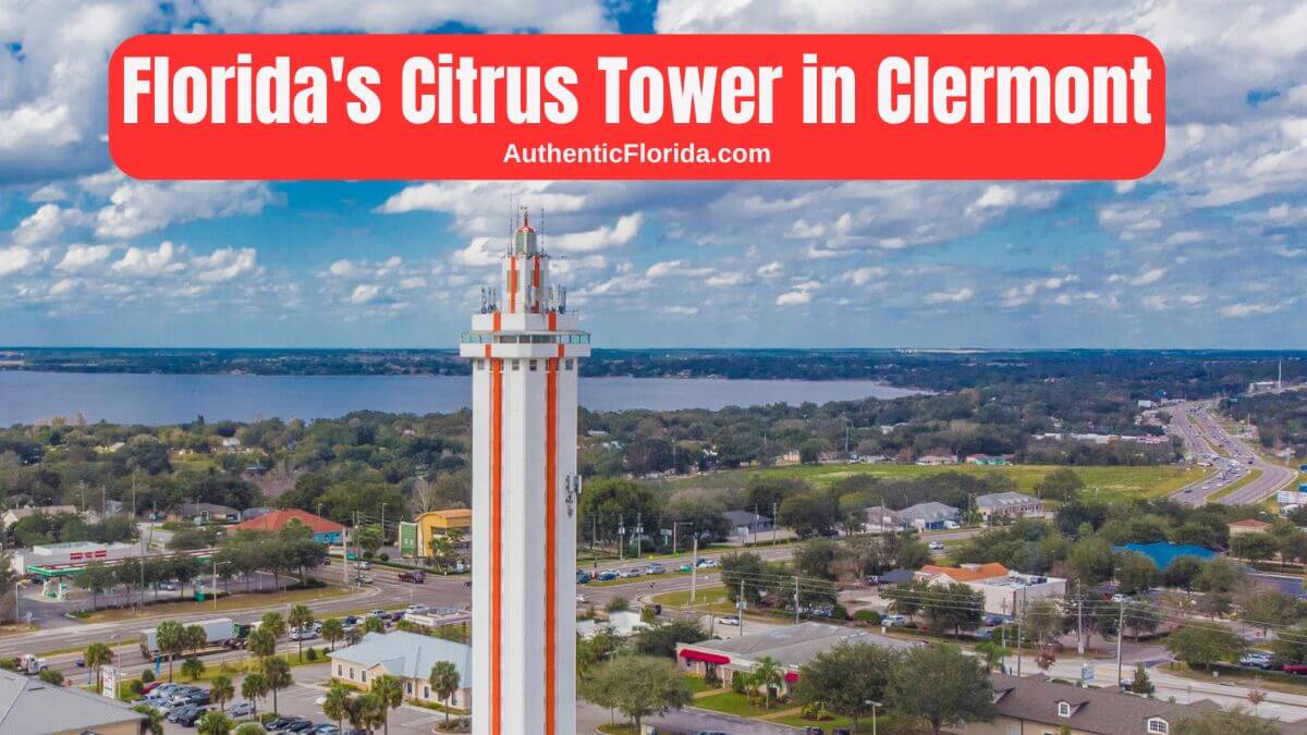 Florida's Citrus Tower in Clermont: A Blast from the Past • Authentic ...