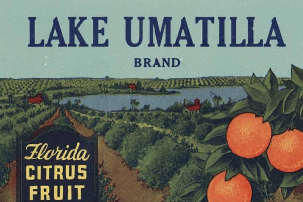 A Guide to 2026 Citrus Label Tours in Florida • Authentic Florida
