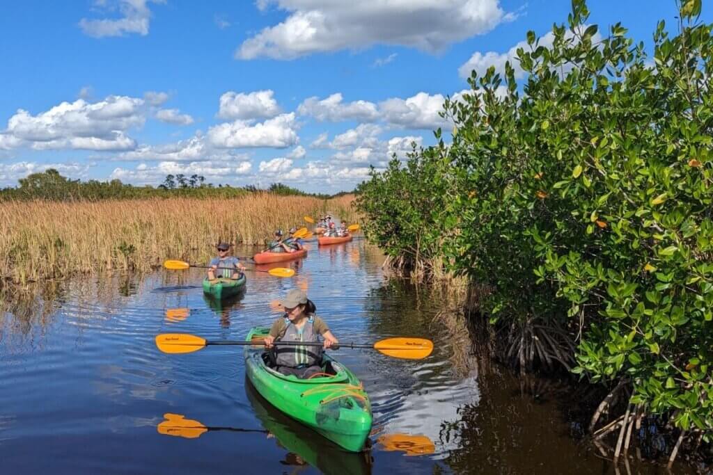 The Ultimate Guide to Naples, Florida 2024 • Authentic Florida