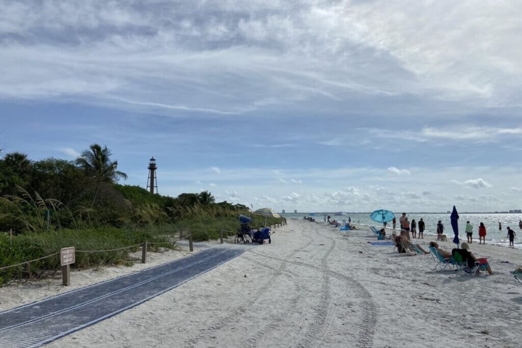 21 Best Places to Find Sand Dollars in Florida (2026) • Authentic Florida