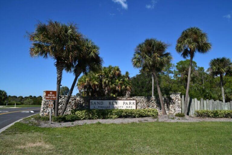 21 Best Places to Find Sand Dollars in Florida (2026) • Authentic Florida