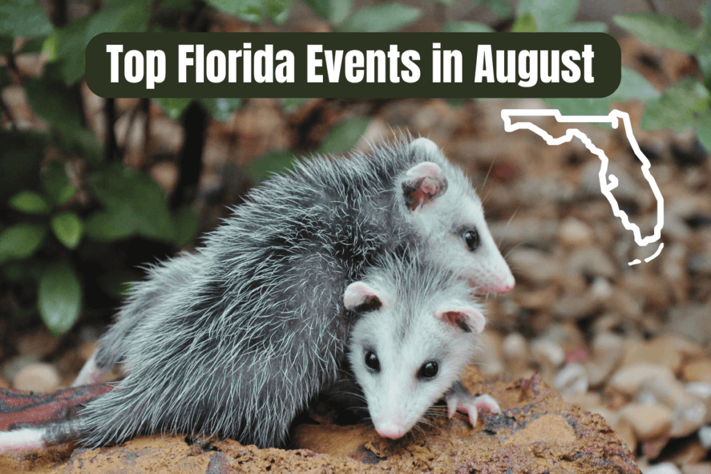 Top Florida Events in August • Authentic Florida