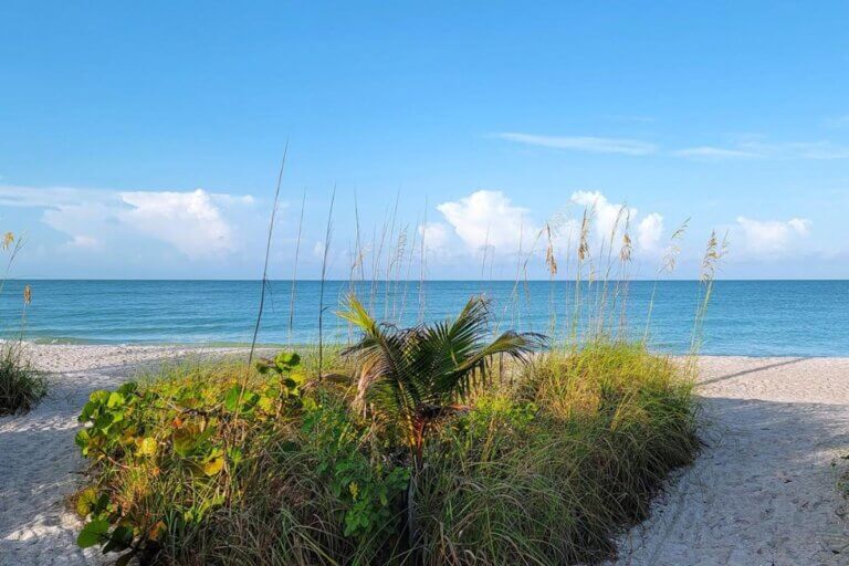 An Ultimate Guide to Fort Myers and Fort Myers Beach (2025) • Authentic ...