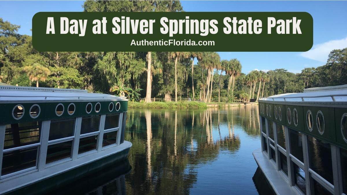 A Day at Silver Springs State Park • Authentic Florida