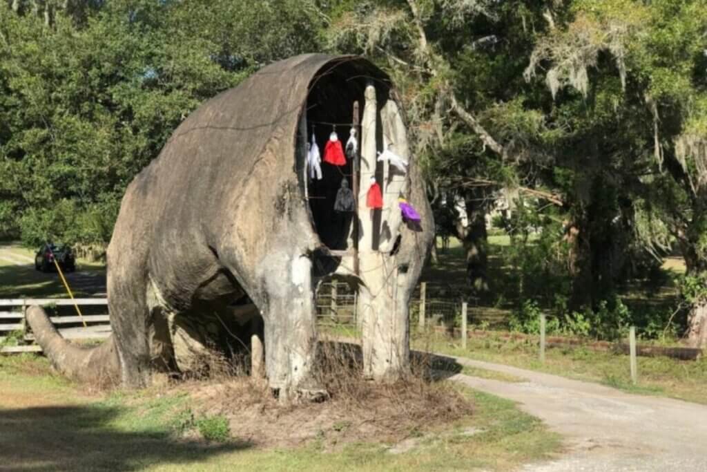 17 Best Dinosaur Attractions in Florida • Authentic Florida