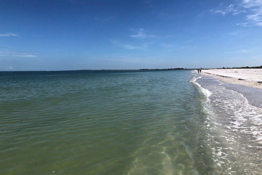 21 Best Places to Find Sand Dollars in Florida (2026) • Authentic Florida