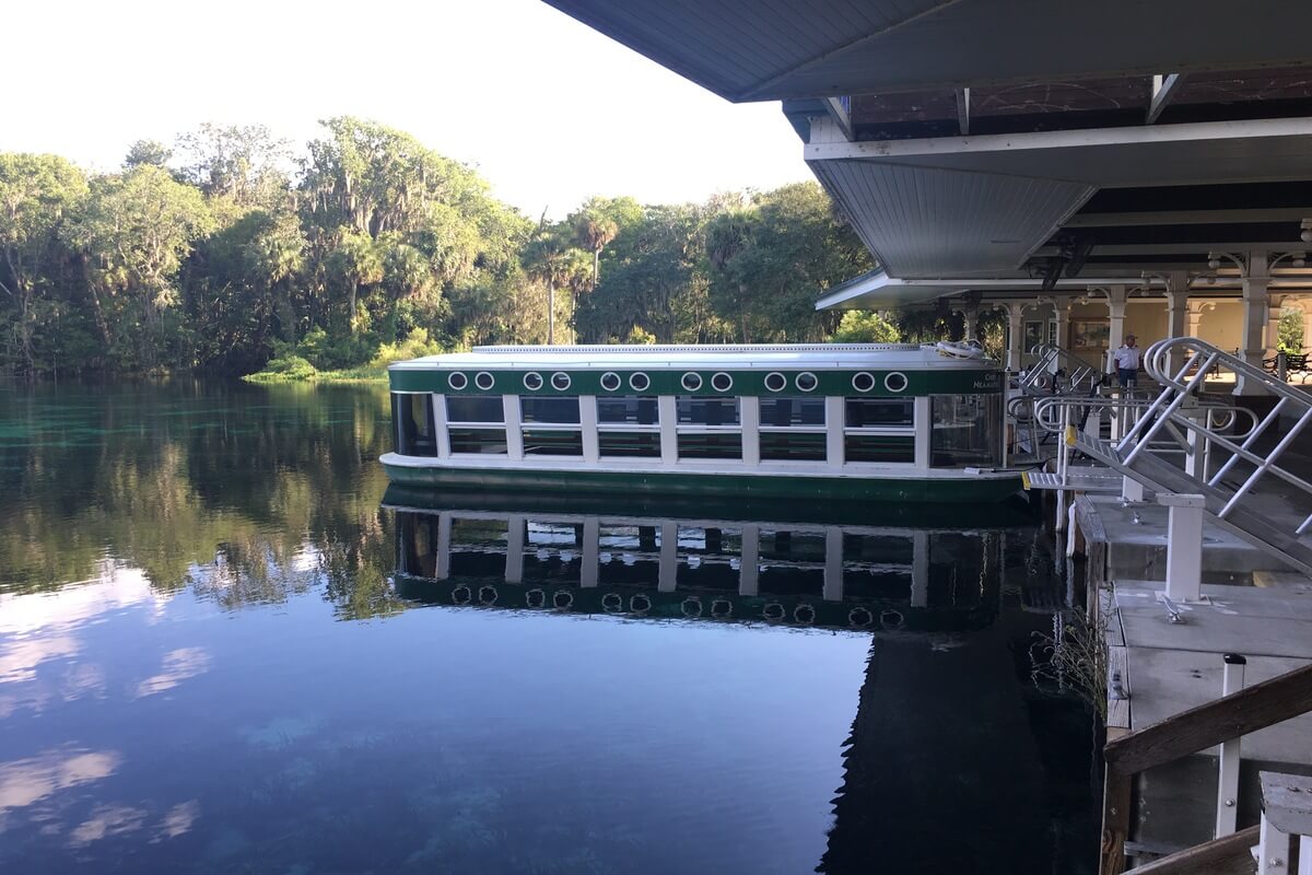 A Day at Silver Springs State Park • Authentic Florida