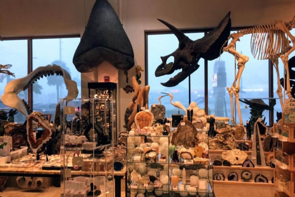 17 Best Dinosaur Attractions in Florida • Authentic Florida