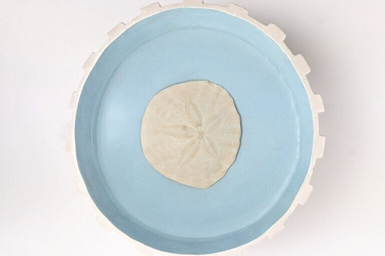 21 Best Places to Find Sand Dollars in Florida (2026) • Authentic Florida