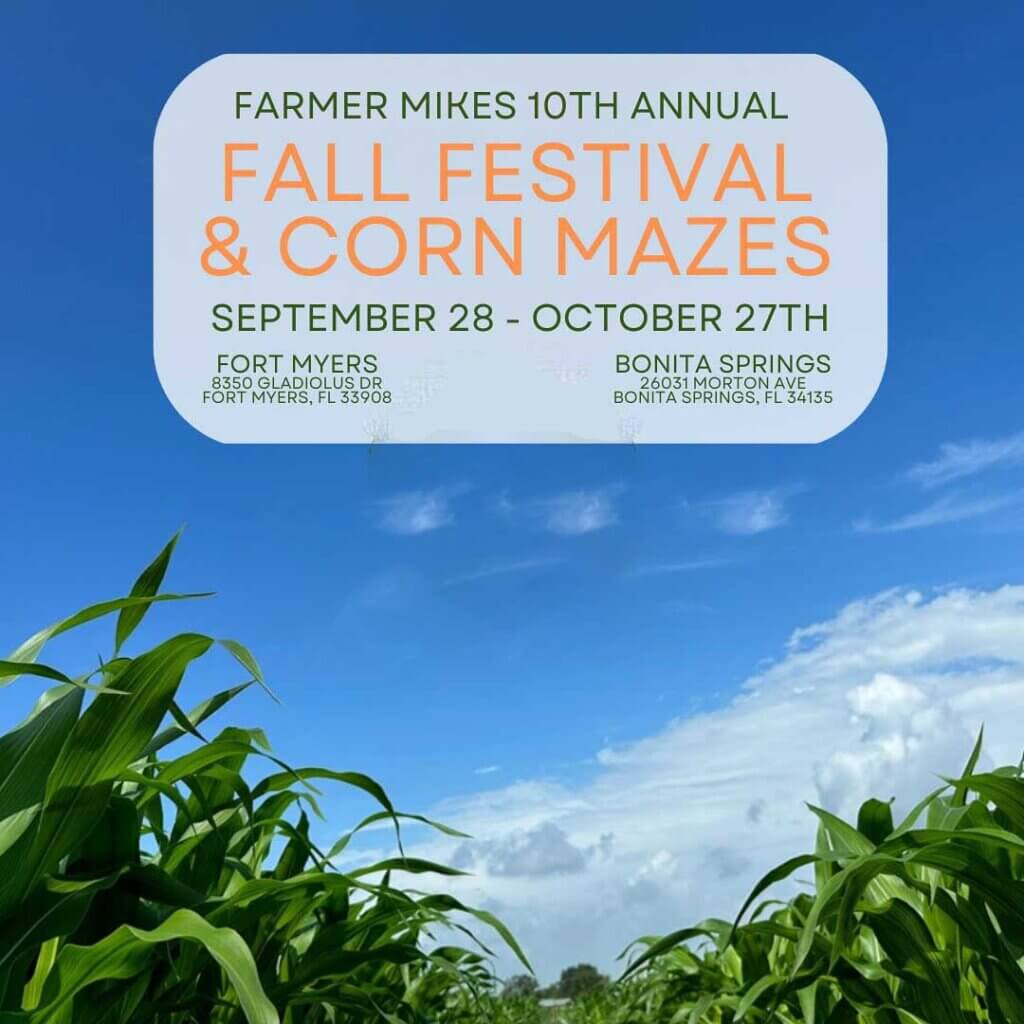 16 Best Florida Corn Mazes in 2024 • Authentic Florida
