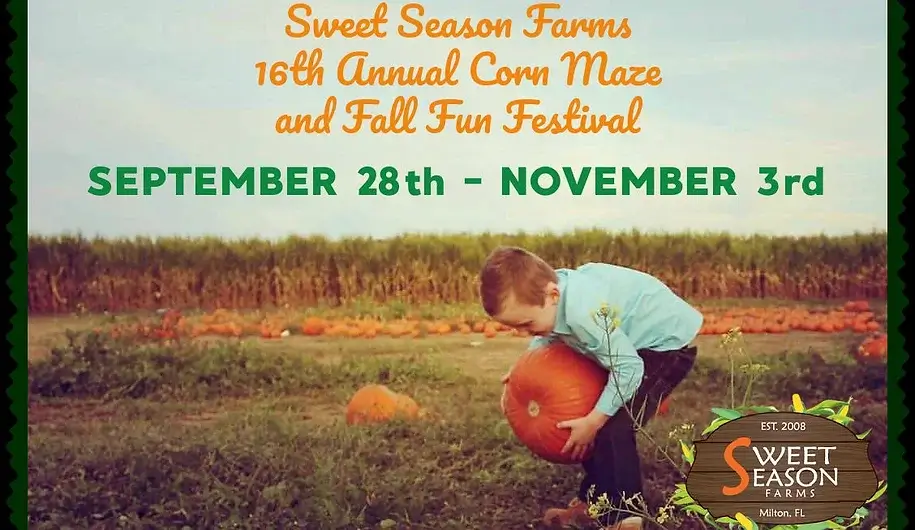 16 Best Florida Corn Mazes in 2024 • Authentic Florida