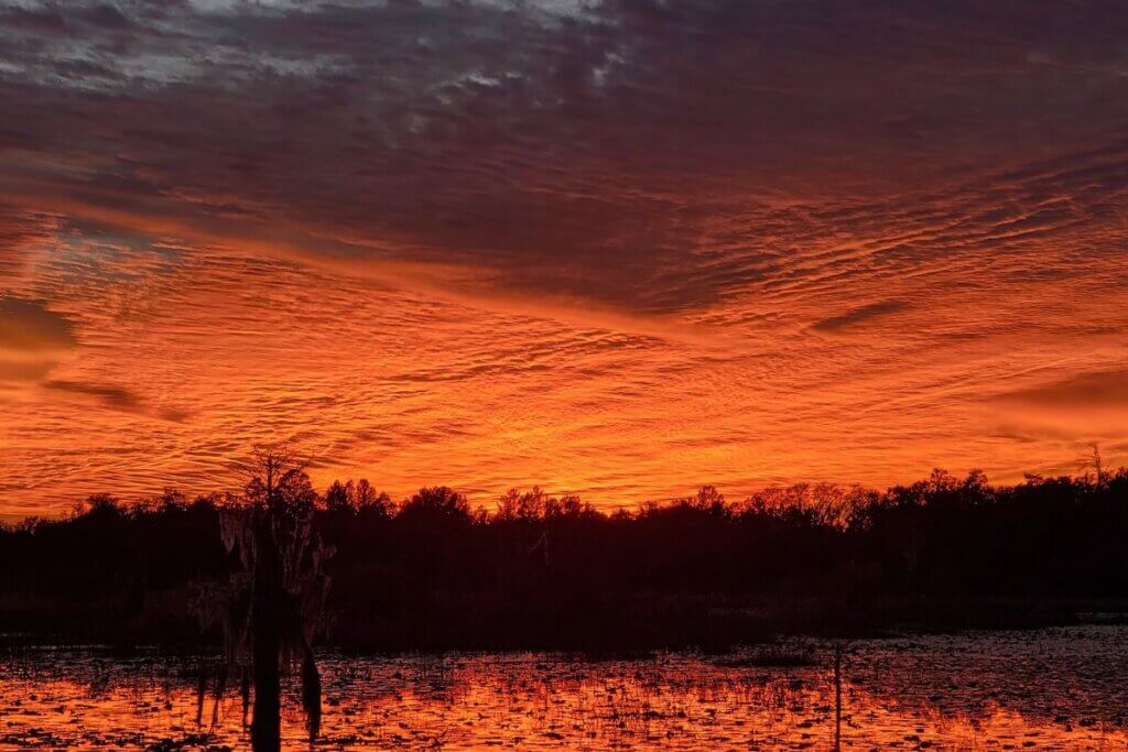 15 Best Things to Do in New Port Richey, FL (2024) • Authentic Florida