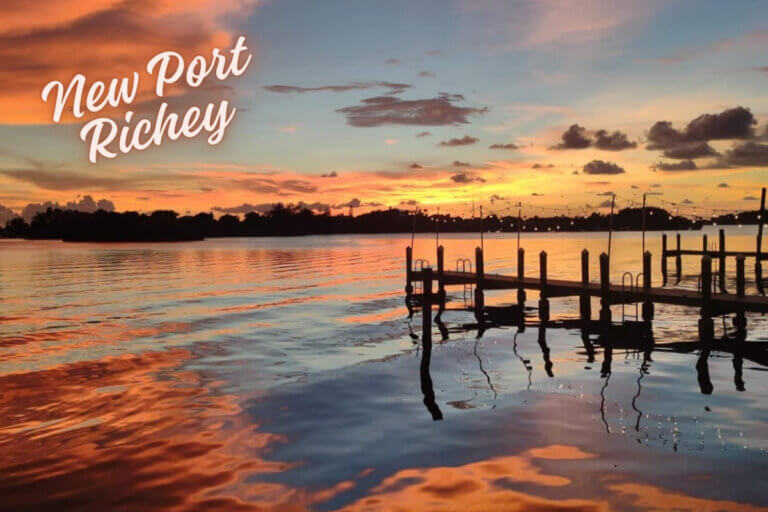 15 Best Things to Do in New Port Richey, FL (2025) • Authentic Florida