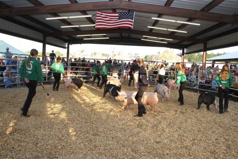 28+ Florida County Fairs to Visit This Year • Authentic Florida