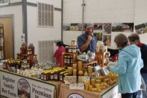 28+ Florida County Fairs to Visit This Year • Authentic Florida